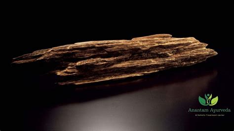 Agarwood Agaru Aquilaria Agallocha Health Benefits Anantam Ayurveda