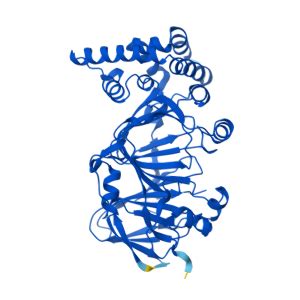MPI Gene GeneCards MPI Protein MPI Antibody