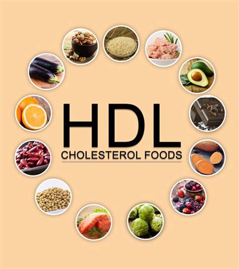 Ldl And Hdl Food