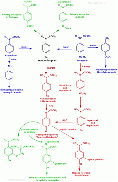 Acetaminophen Functional Groups Solved The Functional Groups In The