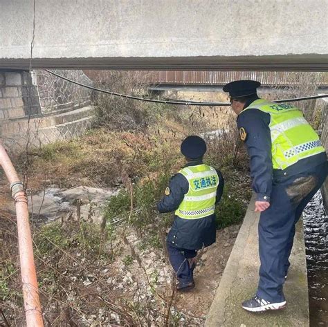 迅速行动、多措并举，廿三里街道全力做好低温雨雪冰冻天气防御应对工作辖区强化措施领导