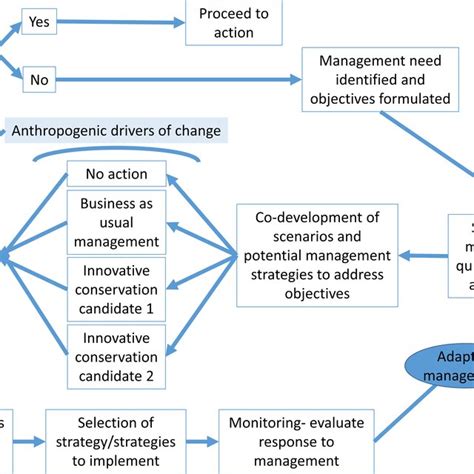 workflow describing the use of forecasting to assess the intended