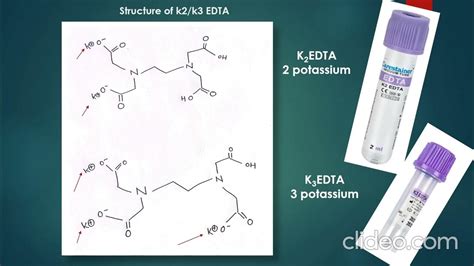 Edta K2edta K3edta Structure Difference Youtube