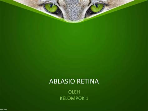 Ablasio Retina Kelompok 1 Ppt