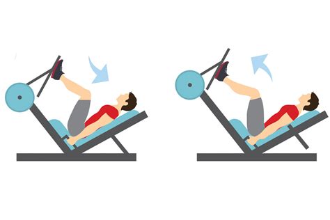 Программа тренировок в зале — занятия на массу для начинающих