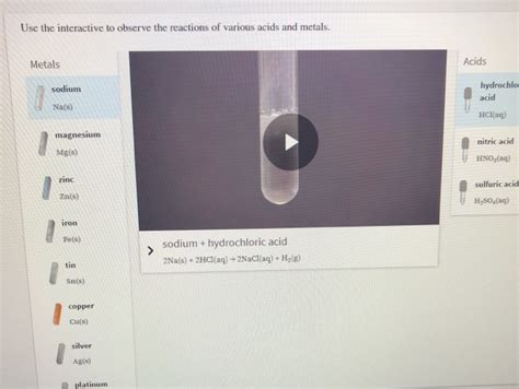 Solved Use The Interactive To Observe The Reactions Of