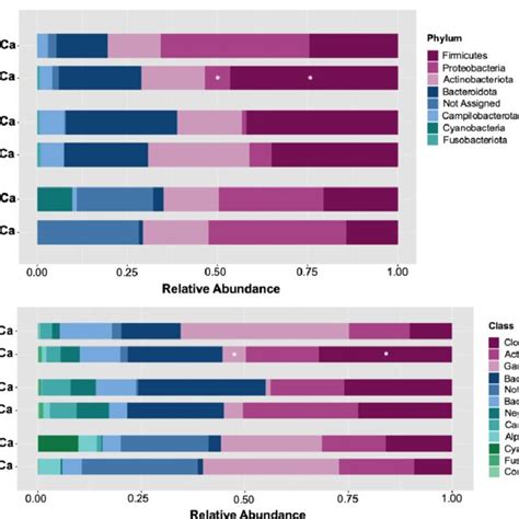 The β diversity metrics PCoA on the top and hierarchical cluster on Download Scientific
