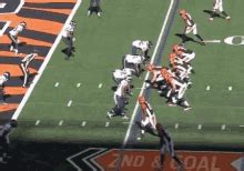 Bengals S Tenor