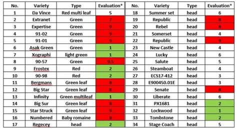 Strategies To Control Pythium Wilt Of Lettuce Salinas Valley Agriculture