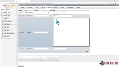 How To Edit A Database Table Via Phpmyadmin In Cpanel With Cater Data Pro Youtube