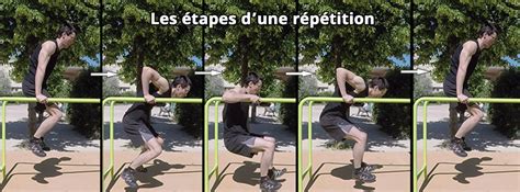 Dips Niveau 5 Dips Russes