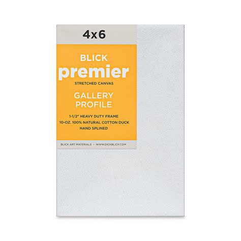 Blick Premier Stretched Cotton Canvas Gallery Profile Splined 4 X