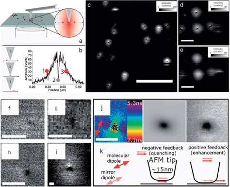 A Scheme Of Hybrid Afm Flim Setup B Scheme Of Tip Induced