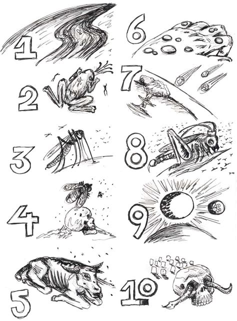Dibujos De 10 Plagas Para Colorear Vsun