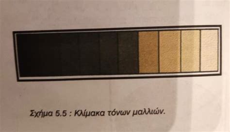 Open Eclass Δ ΙΕΚ Ναυπλίου ΠΡΑΚΤΙΚΕΣ ΑΣΚΗΣΕΙΣ Έγγραφα