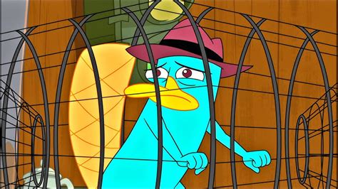 Phineas And Ferb Perry The Platypus Perry The Platypus Phineas And