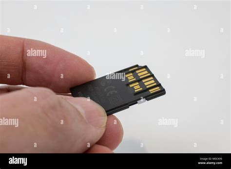 SD Memory Card Stock Photo Alamy