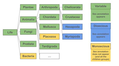 Specific Sex Annotations For Each Taxon Page 2 Feature Requests