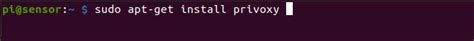 comment utiliser un raspberry pi comme serveur proxy avec privoxy