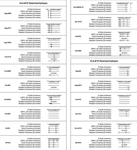 Alignment Of Hla B 27 05 And Hla B 57 01 Restricted Epitopes In An Download Scientific Diagram