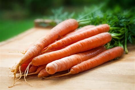 1000 Free Carrots And Carrot Cake Photos Pixabay