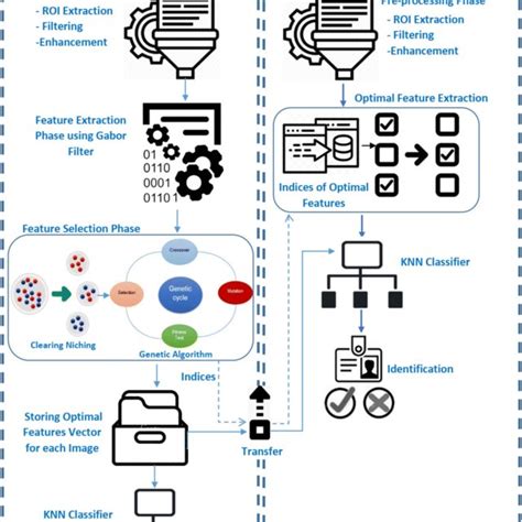 the proposed finger vein recognition model based on niching genetic download scientific diagram