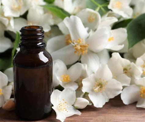 Most Expensive Essential Oils Green Roots Botanicals Cleaning Service
