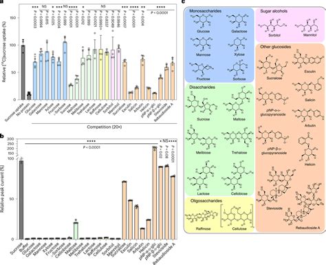 Substrate Specificity Of Suc1 A Substrate Specificity Of Suc1 As Download Scientific Diagram