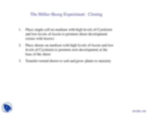 Cell Expansion The Beginning Of Life Lecture Slides Slides Life Sciences Docsity