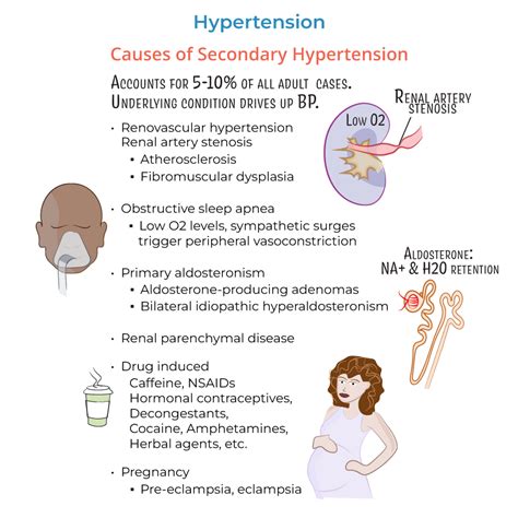 Clinical Pathology Glossary Hypertension Ditki Medical And Biological