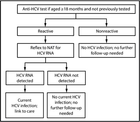 Algorithm For Hepatitis C Virus Testing Of Perinatally Exposed Download Scientific Diagram