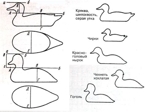 Профиля гусей для охоты своими руками чертежи и размеры