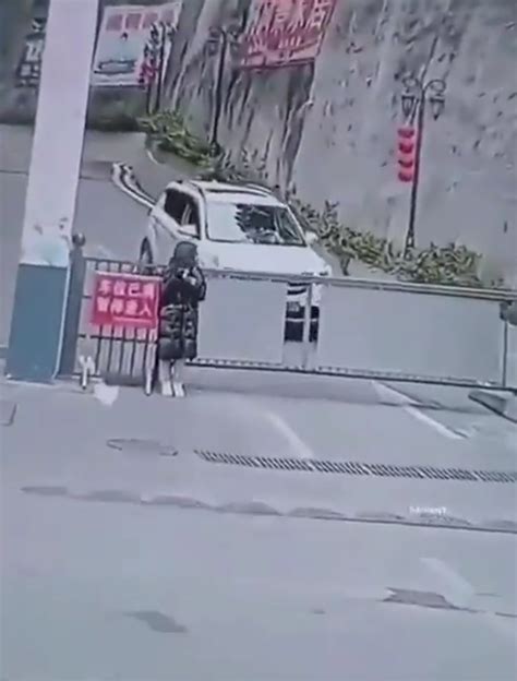 【動画】女さん、街中でいきなり服を脱がされる