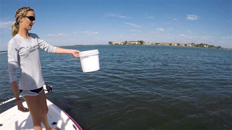 Chumming Tips How To Make The Best Saltwater Fish Chum