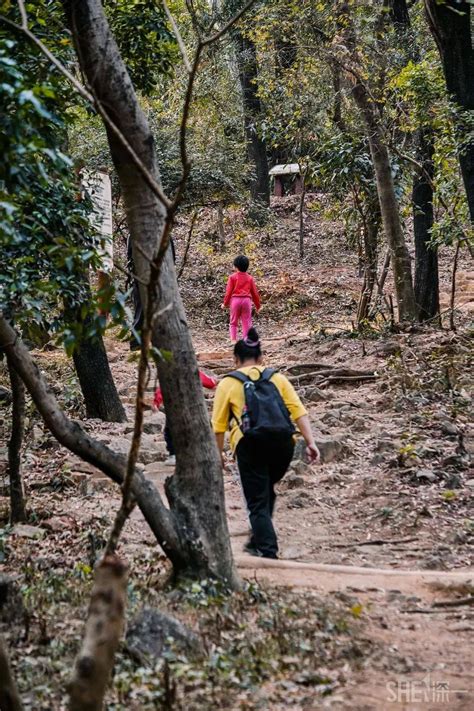 手作步道，无痕山林 梅林山郊野径带你在繁华都市中亲近自然 深圳