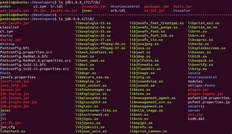 该如何从 Java 8 升级到 Java 10 隔叶黄莺 Yanbin Blog 软件编程实践
