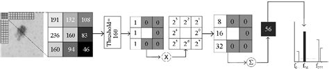 Figure 1 From Multi Tree Genetic Programming With A New Fitness