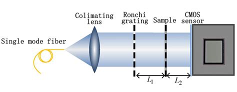 Experiment Setup Of The In Line Digital Holography Microscopy Download Scientific Diagram
