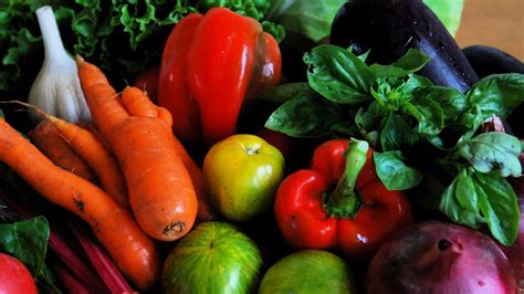 Индипендънт Французите обвиниха британците за Ешерихия коли Новини бг