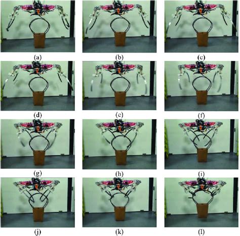 Experiment On Grasping Process Download Scientific Diagram