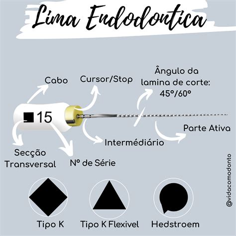 Desenho Lima Endodôntica Função Dos Dentes Assistente De Dentista