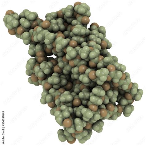 Polyhydroxybutyrate Phb Biodegradable Plastic Chemical Structure Polymer That Is Both Bio
