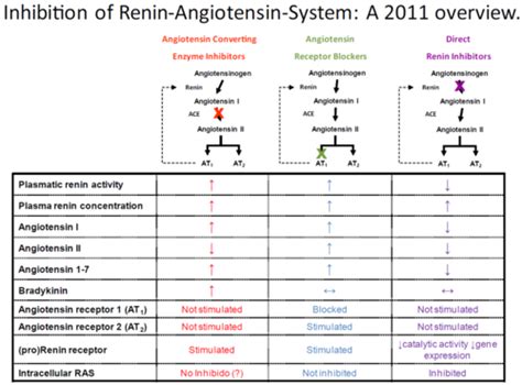 Raas System Flashcards Quizlet