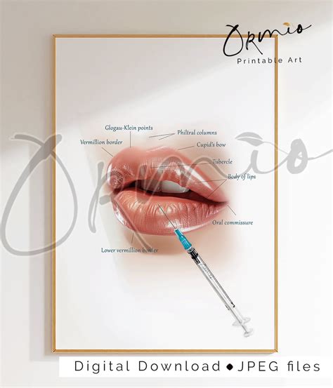 Lip Anatomy Poster Lip Anatomy Print Lip Filler Poster Nurse Injector Art Skin Clinic Decor