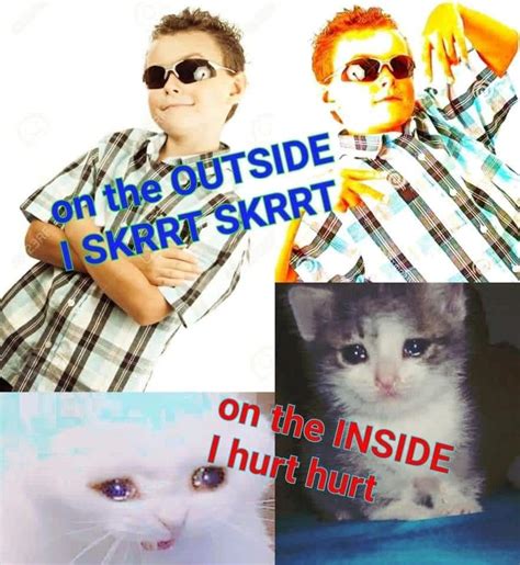 Crying Cat Memes Is The New Craze Among Catizens 30 Crying Cat Memes