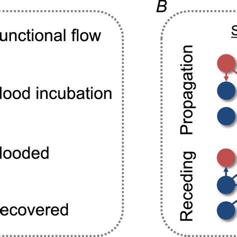 The Network Percolation Based Contagion Model Of Flood Propagation And Download Scientific
