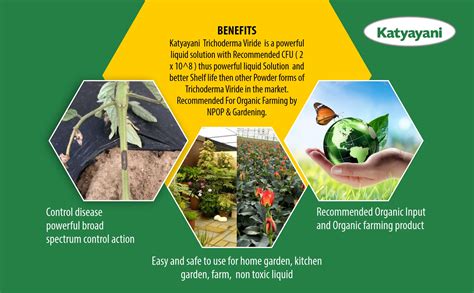 Trichoderma Viride Bio Fungicide Katyayani Organics