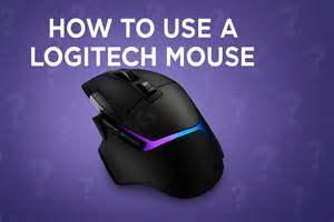 Fix Npm Err Could Not Determine Executable To Run