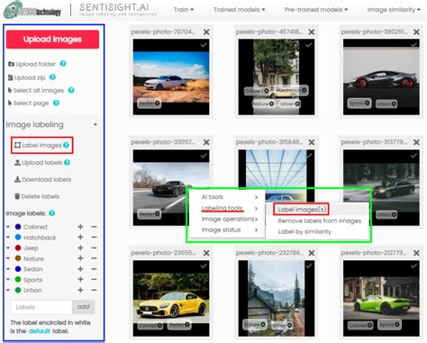 Object Detection User Guide Sentisightai