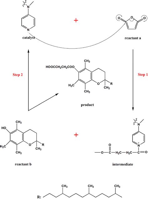 Scheme 1 Catalytic Acetylation Of Vitamin E On Dmap Reactant A Download Scientific Diagram